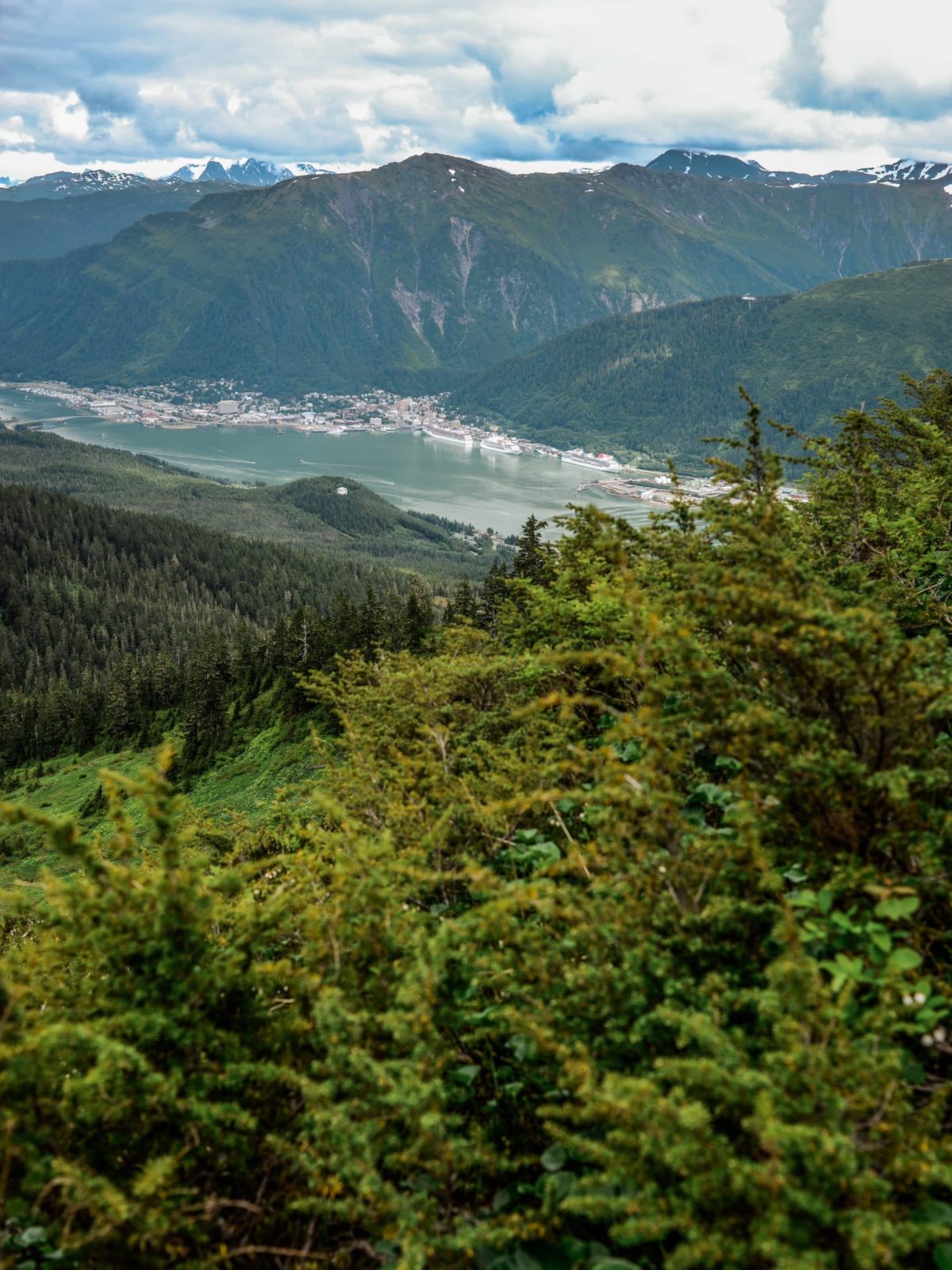 Mount Jumbo! - Alaskan Fudge Company